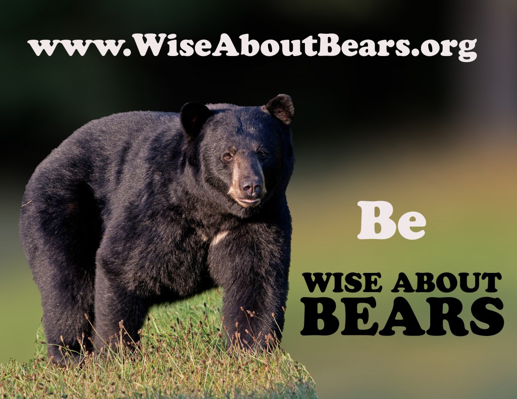 Human-Bear Coexistence | Wise About Bears